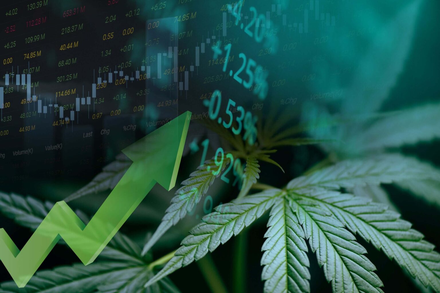 Canopy Growth (CGC) Stock Surges 19% After Cash Position Tops Debt ...