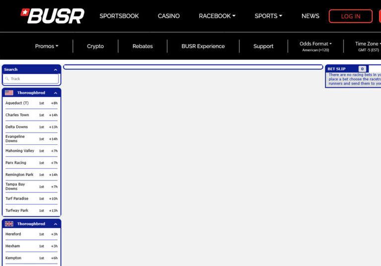 BUSR Review 2026: Casino & Sportsbook With 100% Bonus & 25 Free Spins!