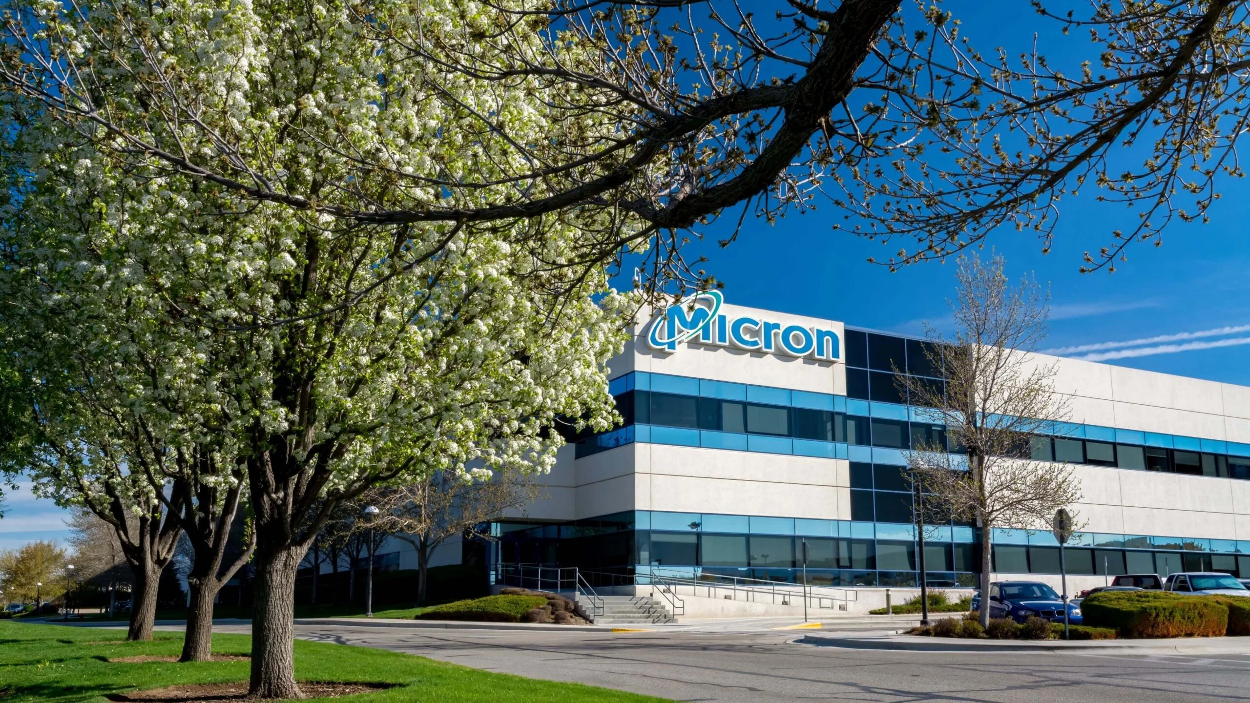 Why Memory Chip Stocks Are Rallying and Could Keep Climbing Higher ...